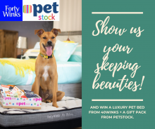 Jape | Homemaker Village | Shopping Centre Darwin